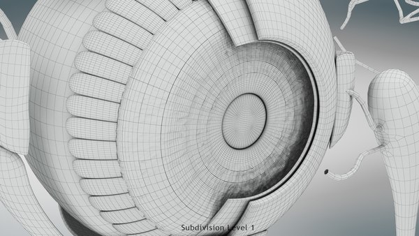 Eye Anatomy 3D model - TurboSquid 1864146
