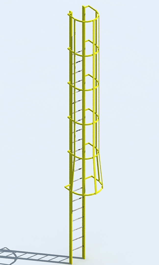3d standard caged ladder
