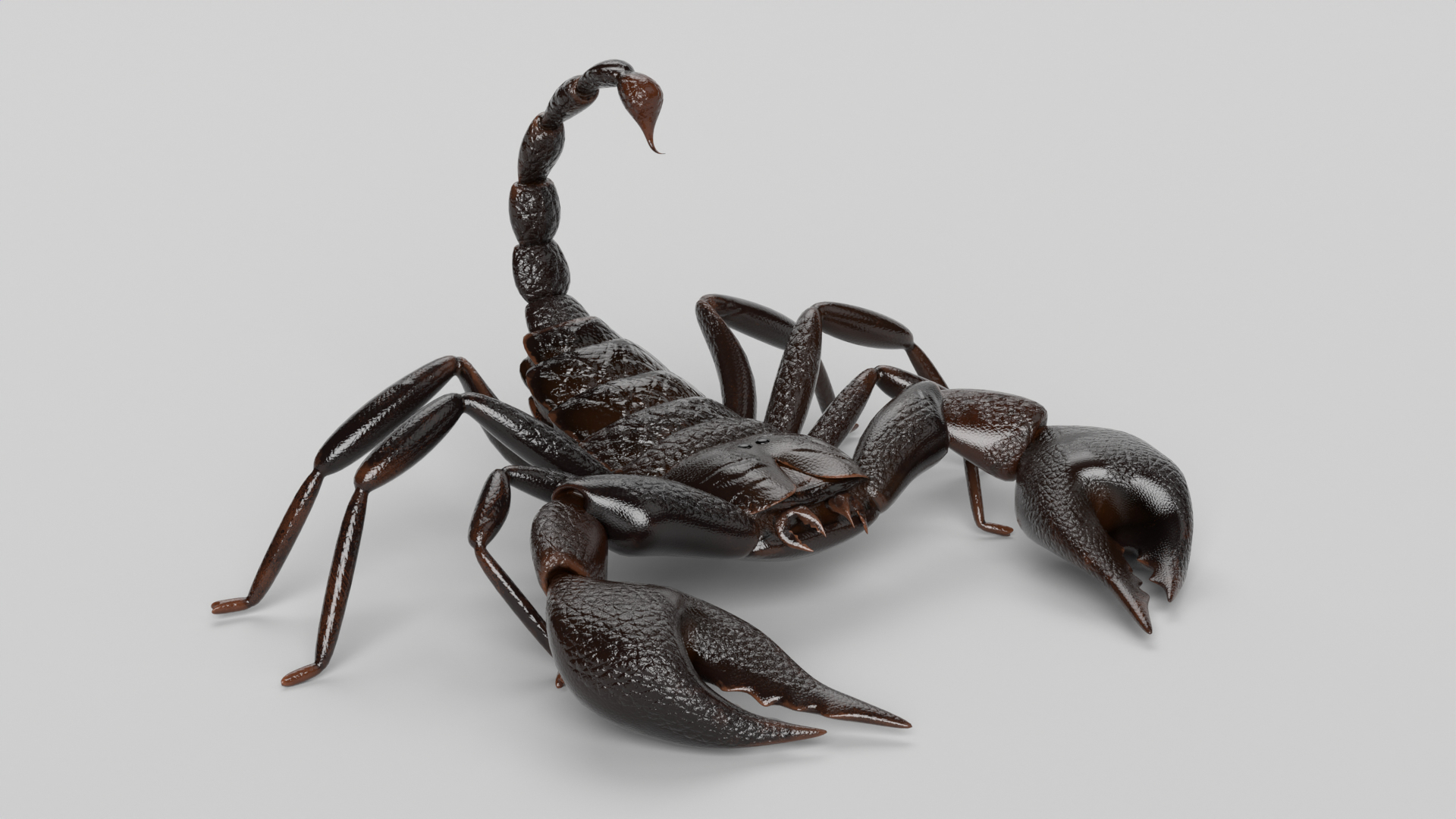 3D Scorpion - TurboSquid 2181486