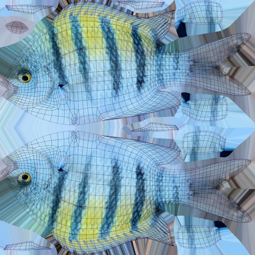 Damselfish Pbr Model - TurboSquid 1329777