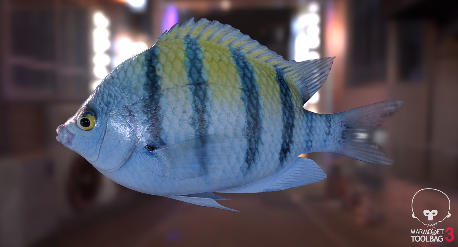 Damselfish Pbr Model - TurboSquid 1329777