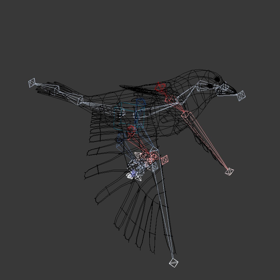 Max Sparrow Flying Animation