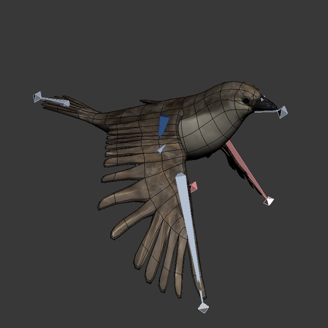 Max Sparrow Flying Animation