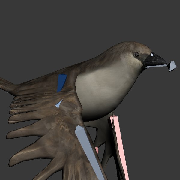 max sparrow flying animation