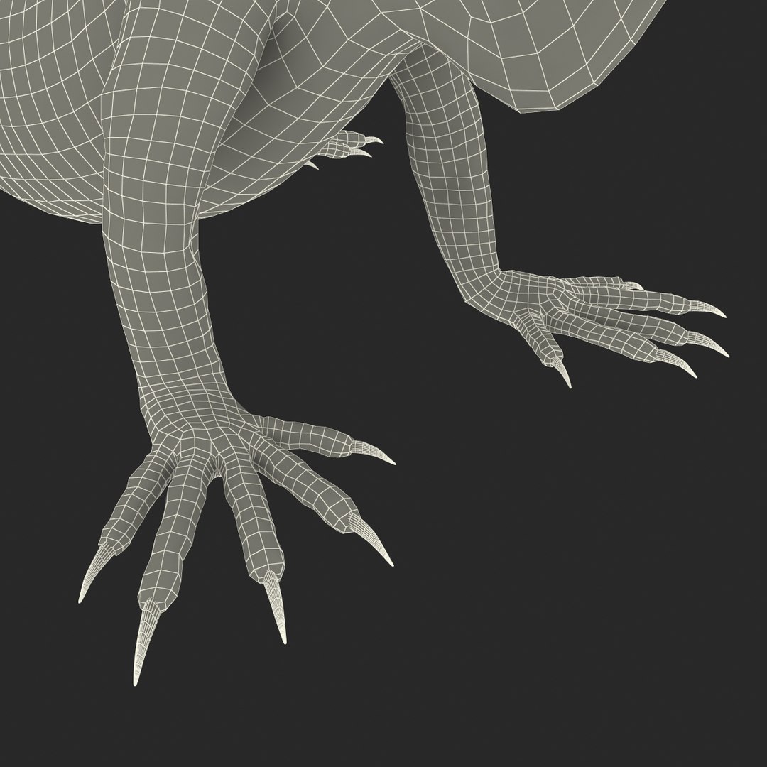 Green Iguana Pose 3 3d Model