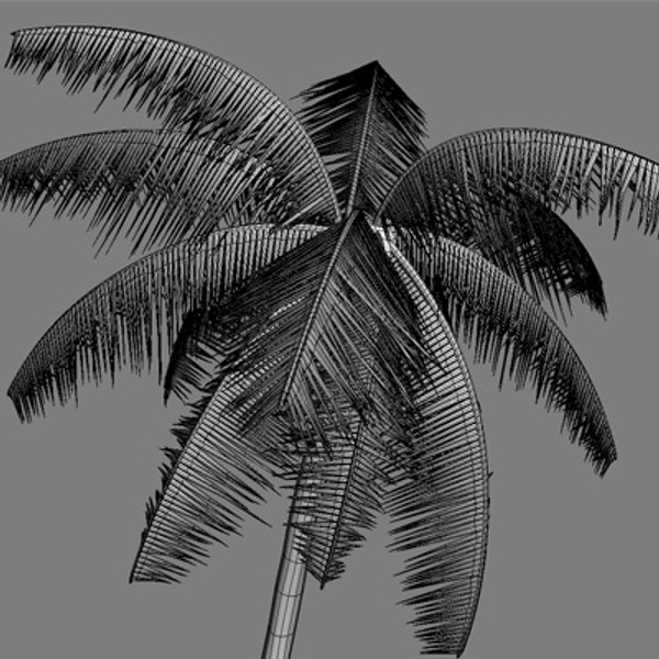 palm tree animation max free