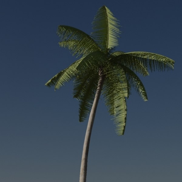 palm tree animation max free