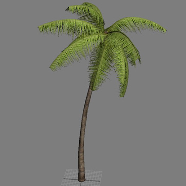 palm tree animation max free