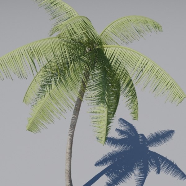 palm tree animation max free