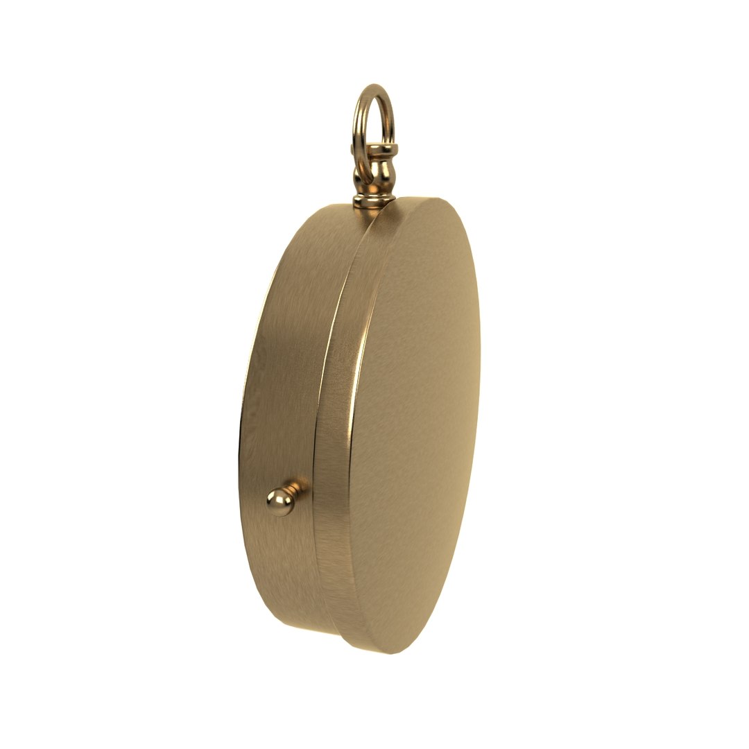 3d Compass Model