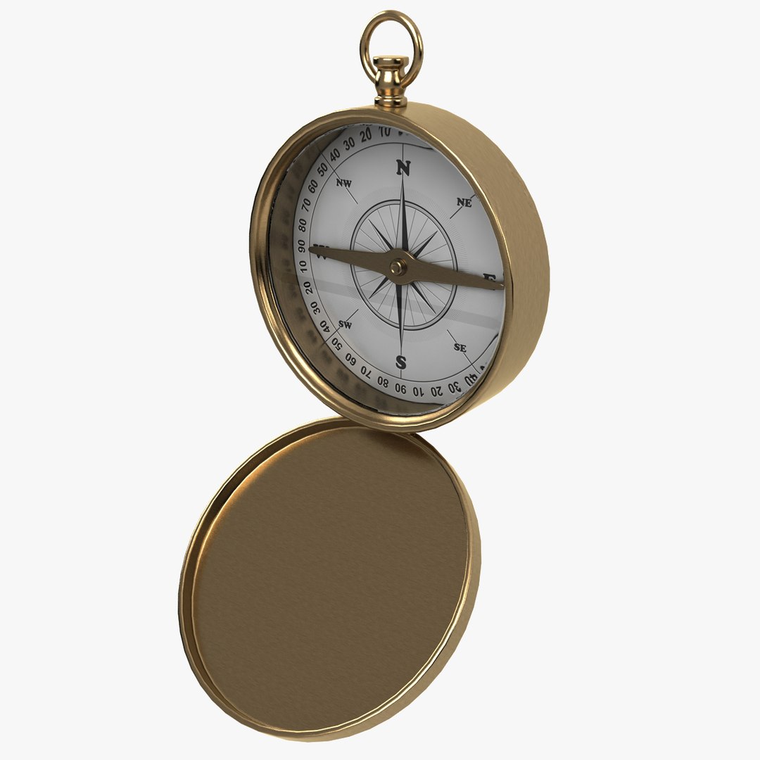 3d Compass Model