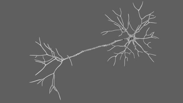 modelo 3d Estructura de la neurona multipolar - TurboSquid 2310930
