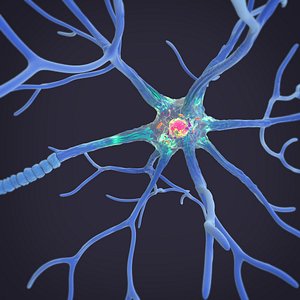 Neurona 3D Modelos para Descargar | TurboSquid