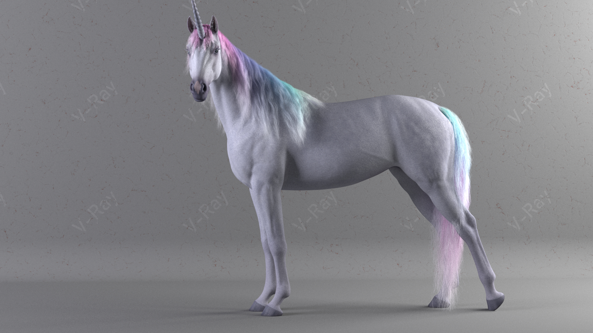 Realistic Unicorn Pictures