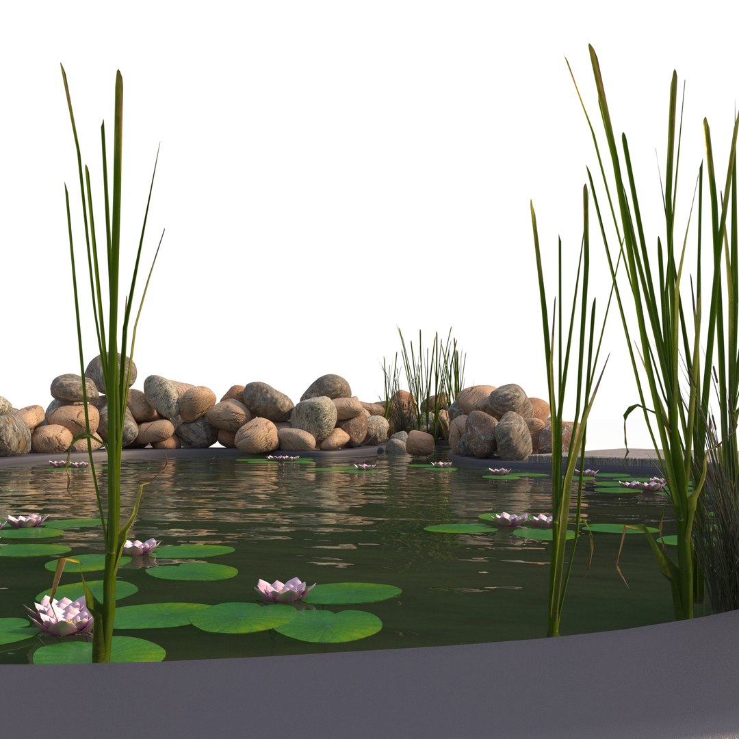 3D Garden Pond - TurboSquid 1577934