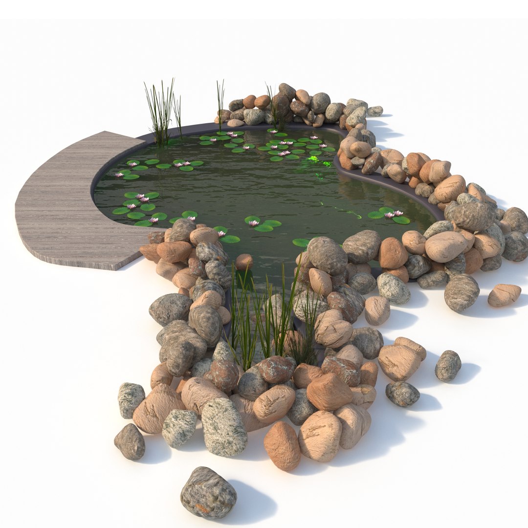 3D garden pond - TurboSquid 1577934