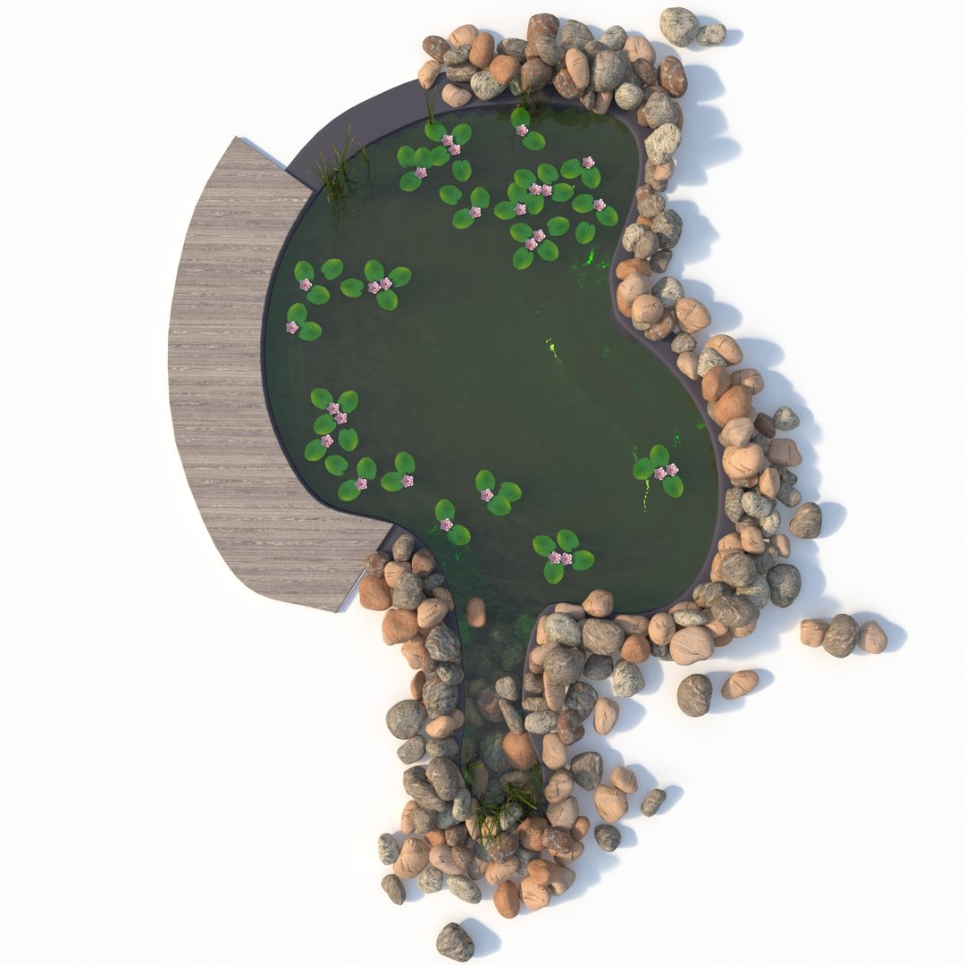 3D Garden Pond - TurboSquid 1577934