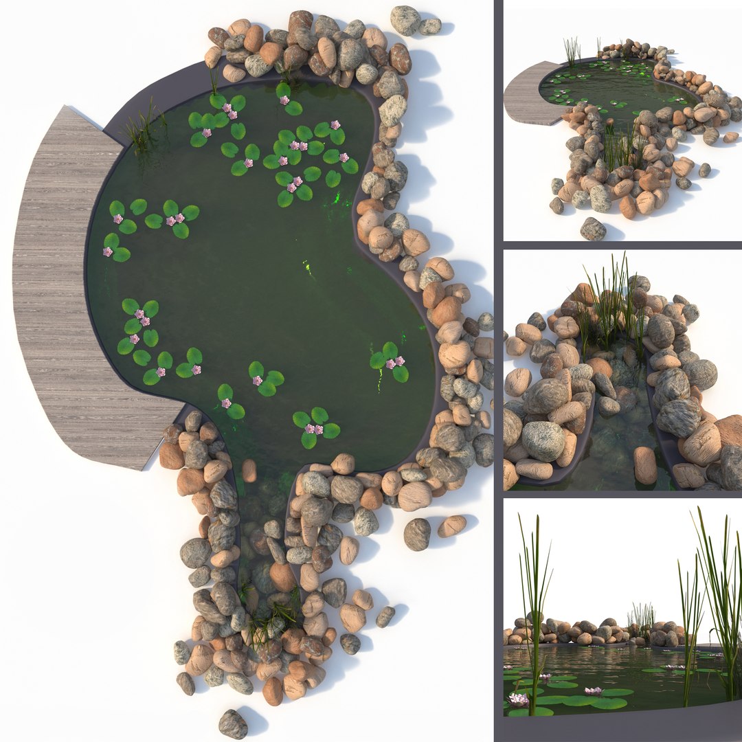 3D garden pond - TurboSquid 1577934