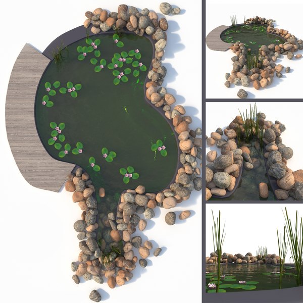Pond 3D Models for Download | TurboSquid