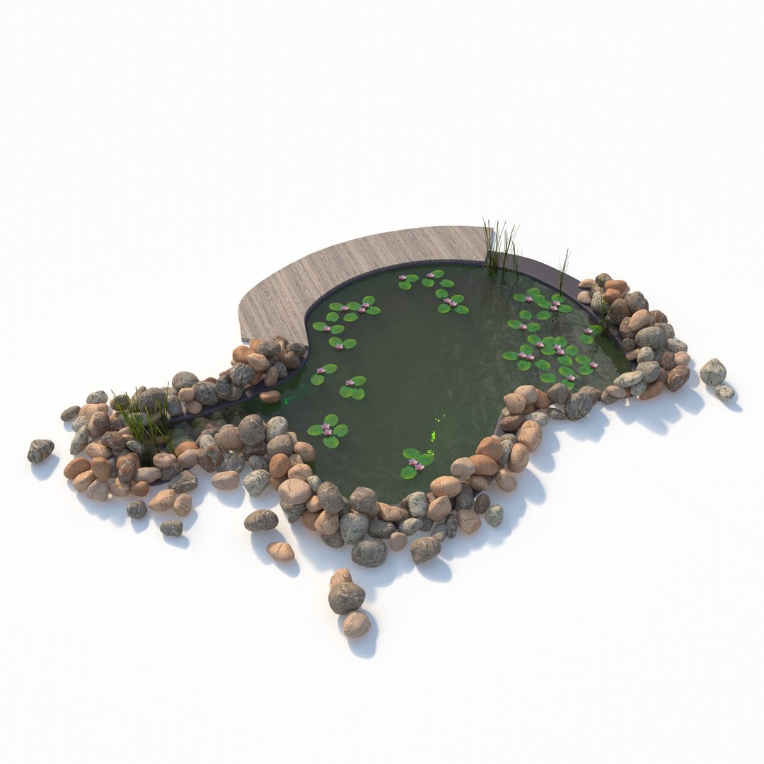 3D Garden Pond - TurboSquid 1577934