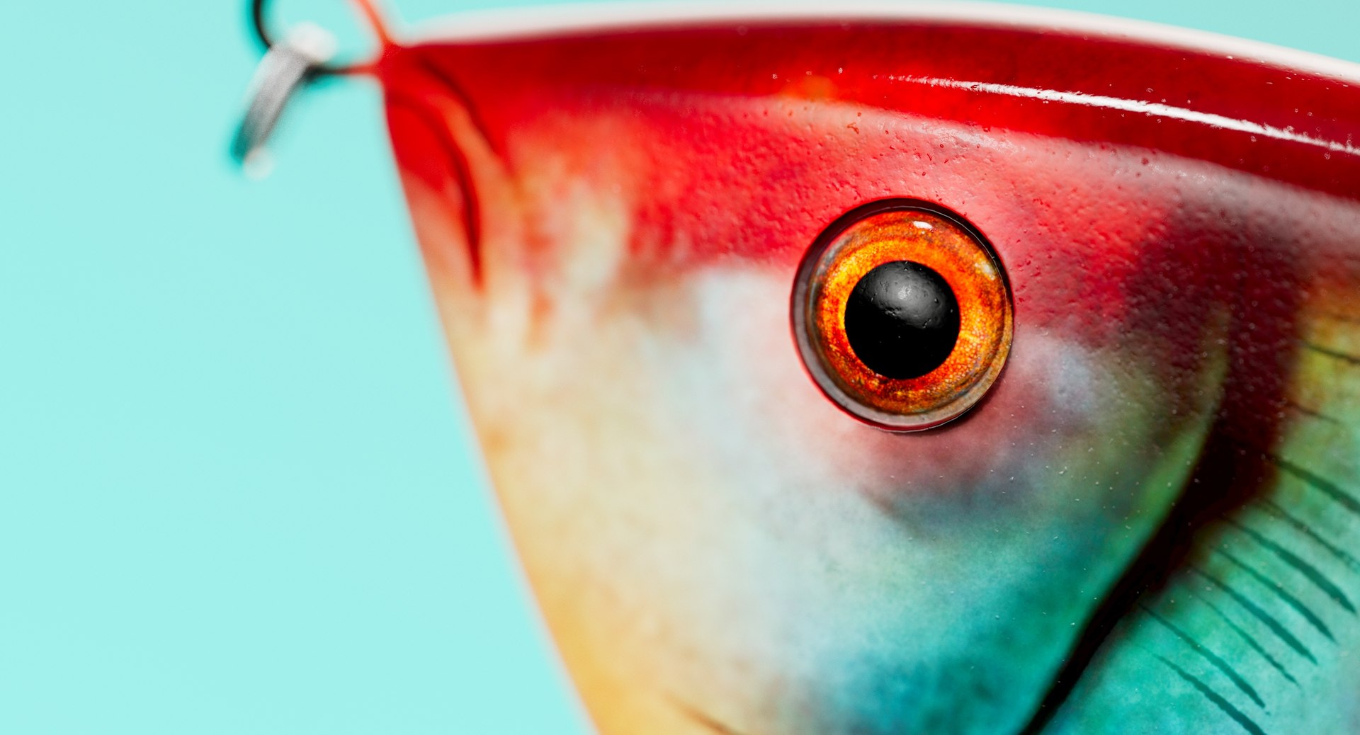 Motorized Fish 3D - TurboSquid 1632344