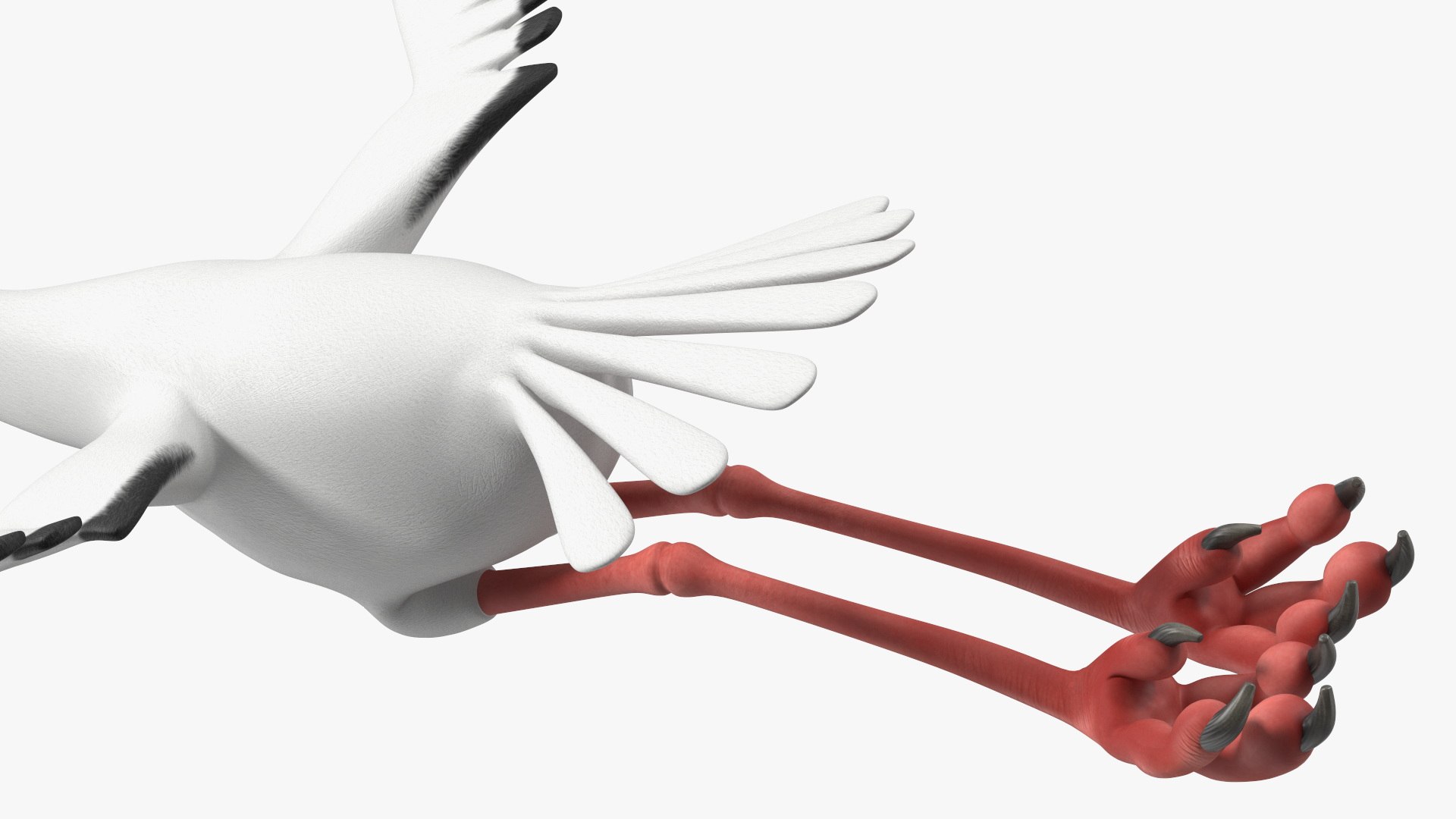 3D Flying Pose Cartoon Stork - TurboSquid 2079669
