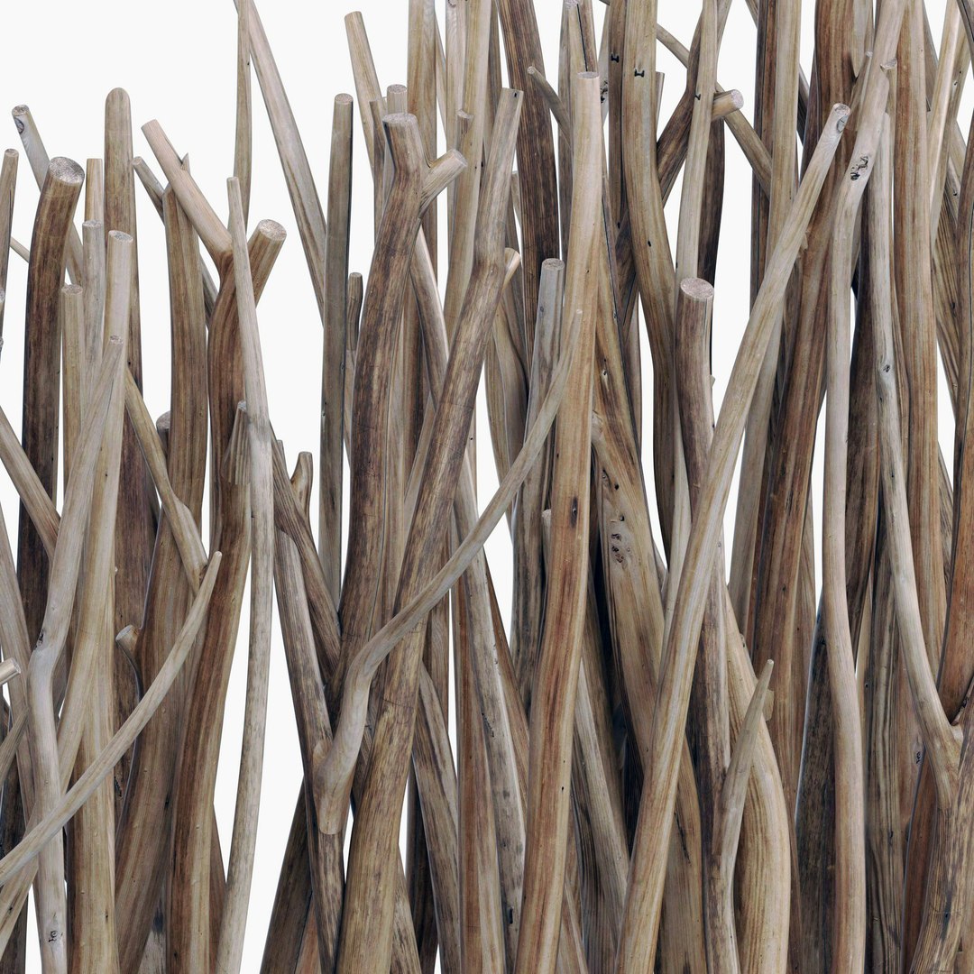 3D Branch screen sang n1 - TurboSquid 1947233