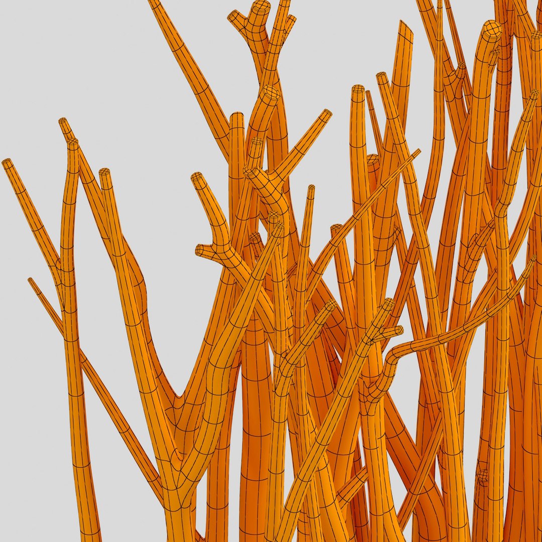 3D Branch screen sang n1 - TurboSquid 1947233