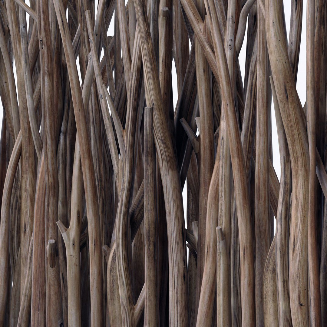 3D Branch screen sang n1 - TurboSquid 1947233