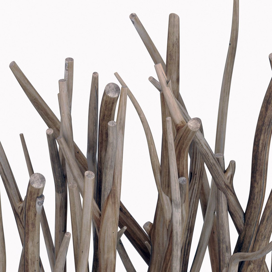 3D Branch screen sang n1 - TurboSquid 1947233