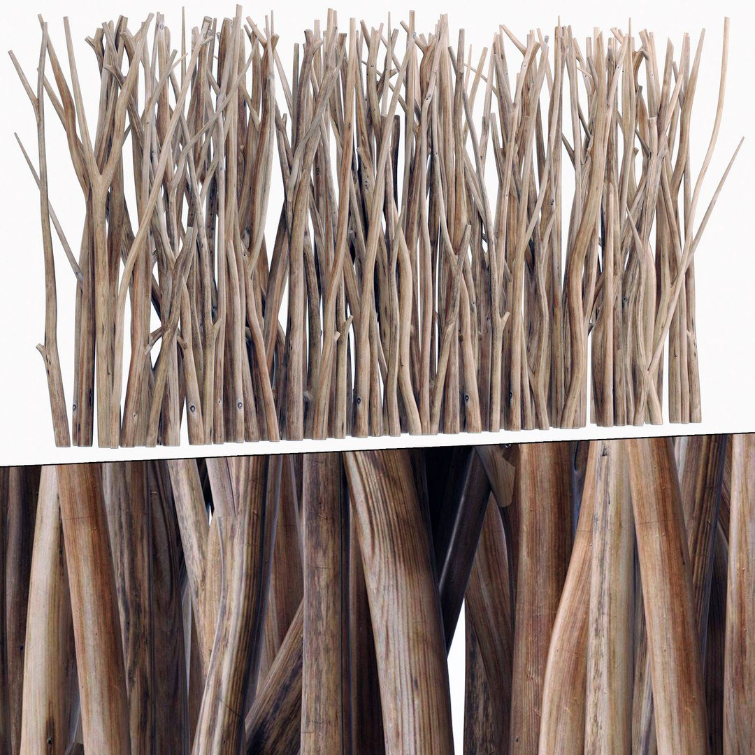 3D Branch screen sang n1 - TurboSquid 1947233