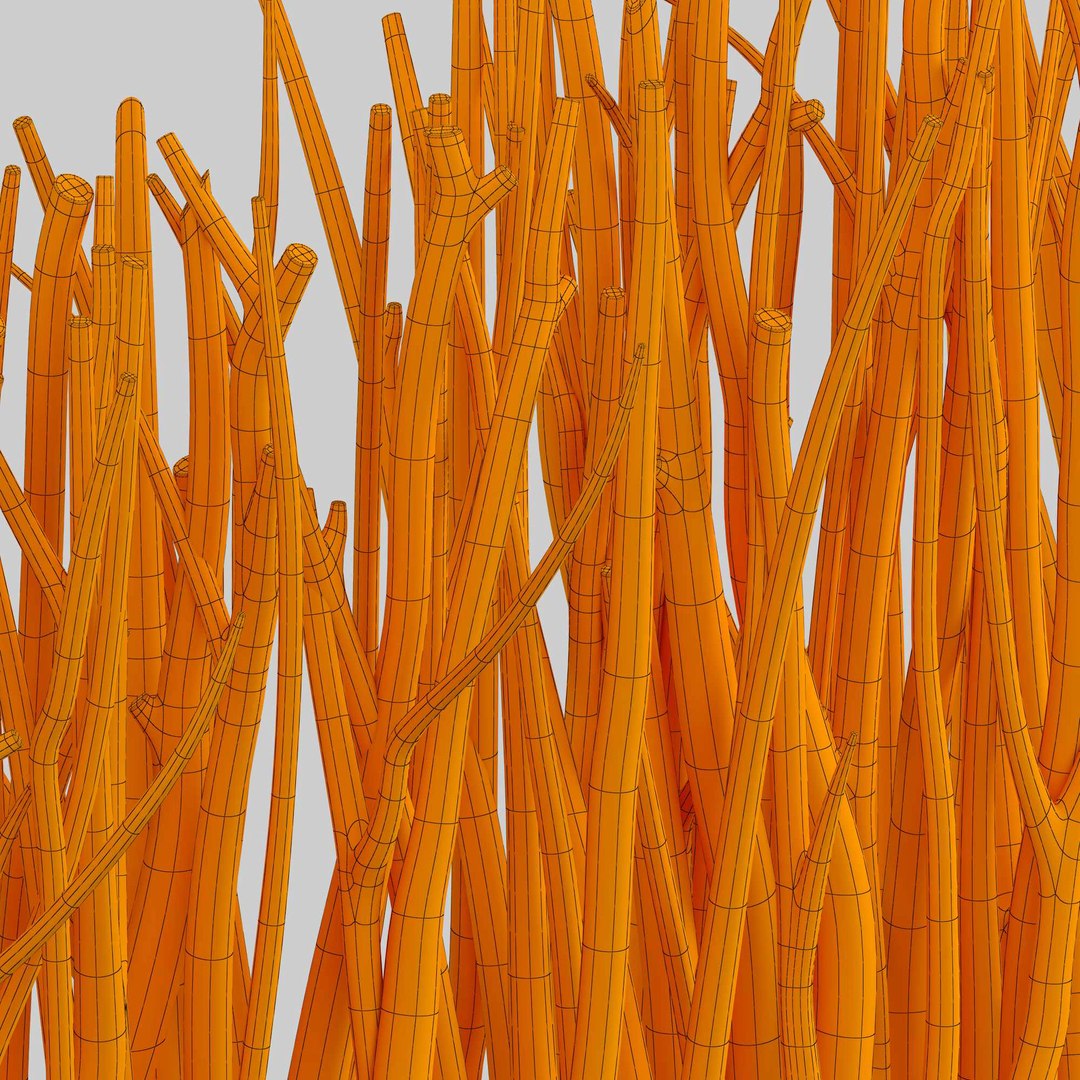 3D Branch screen sang n1 - TurboSquid 1947233