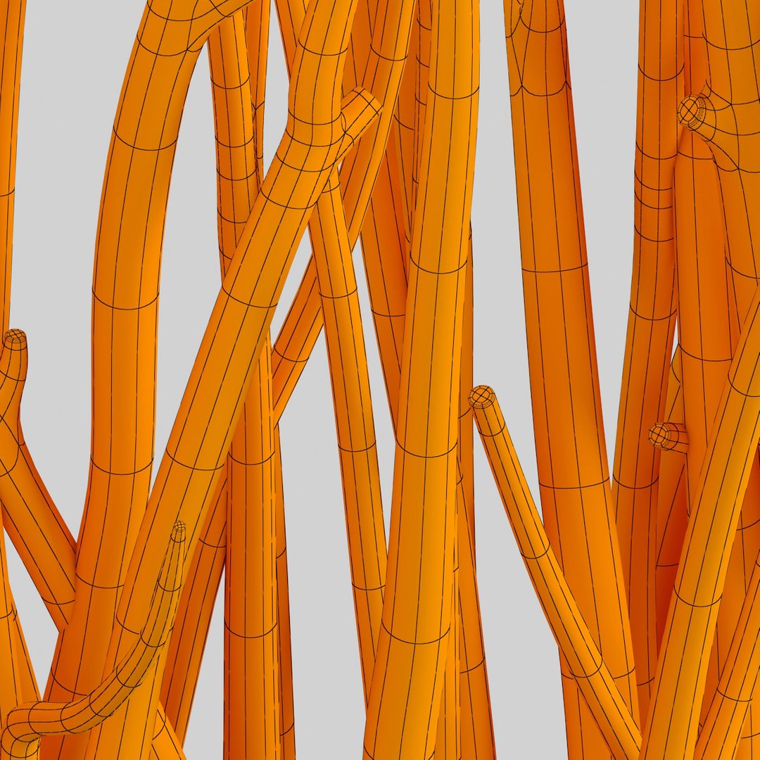 3D Branch screen sang n1 - TurboSquid 1947233