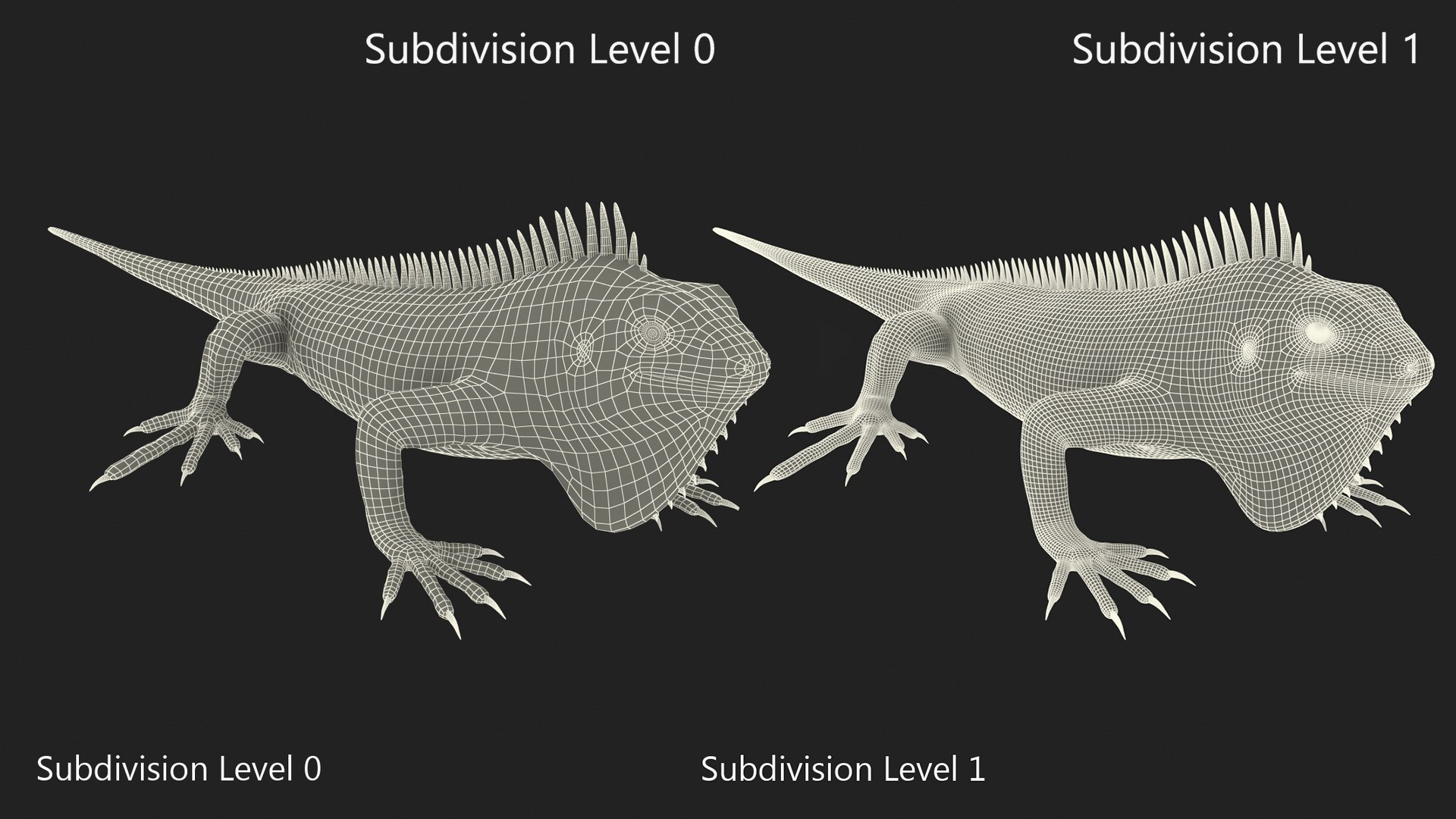 Iguana Reptile Creature Rigged For Maya 3D - TurboSquid 2381275