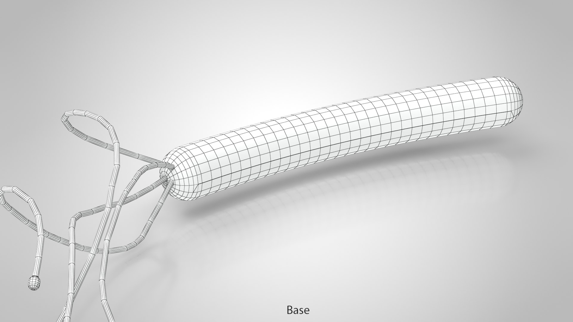 Prokaryotic Structure 3D - TurboSquid 1975619