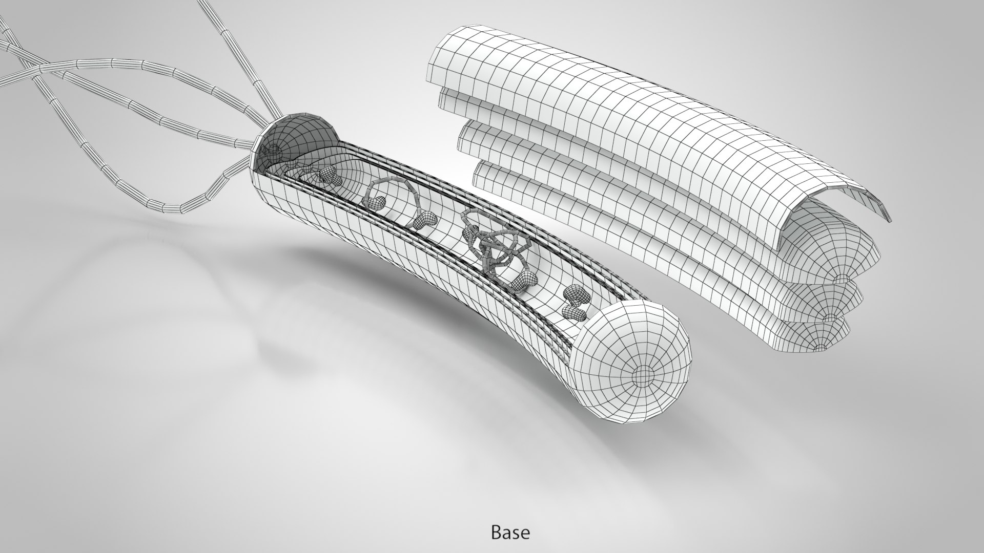 Prokaryotic Structure 3D - TurboSquid 1975619