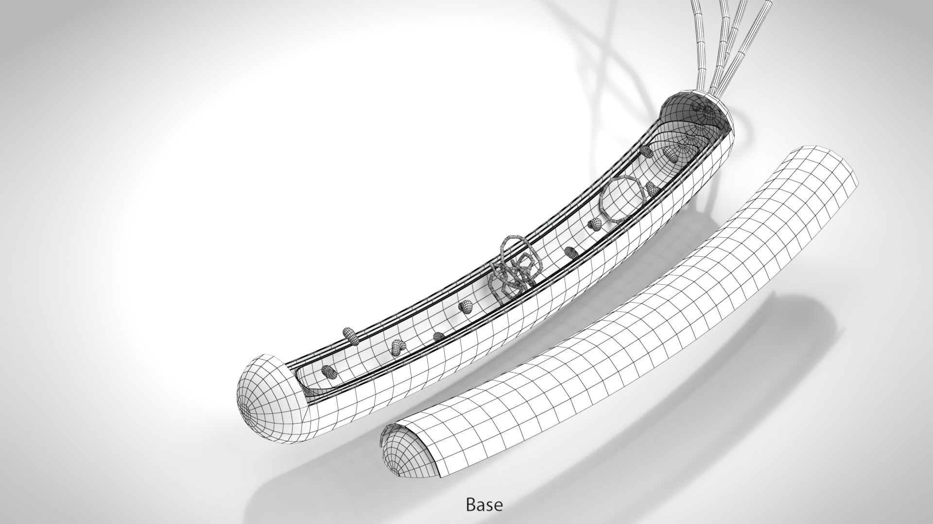 Prokaryotic Structure 3D - TurboSquid 1975619