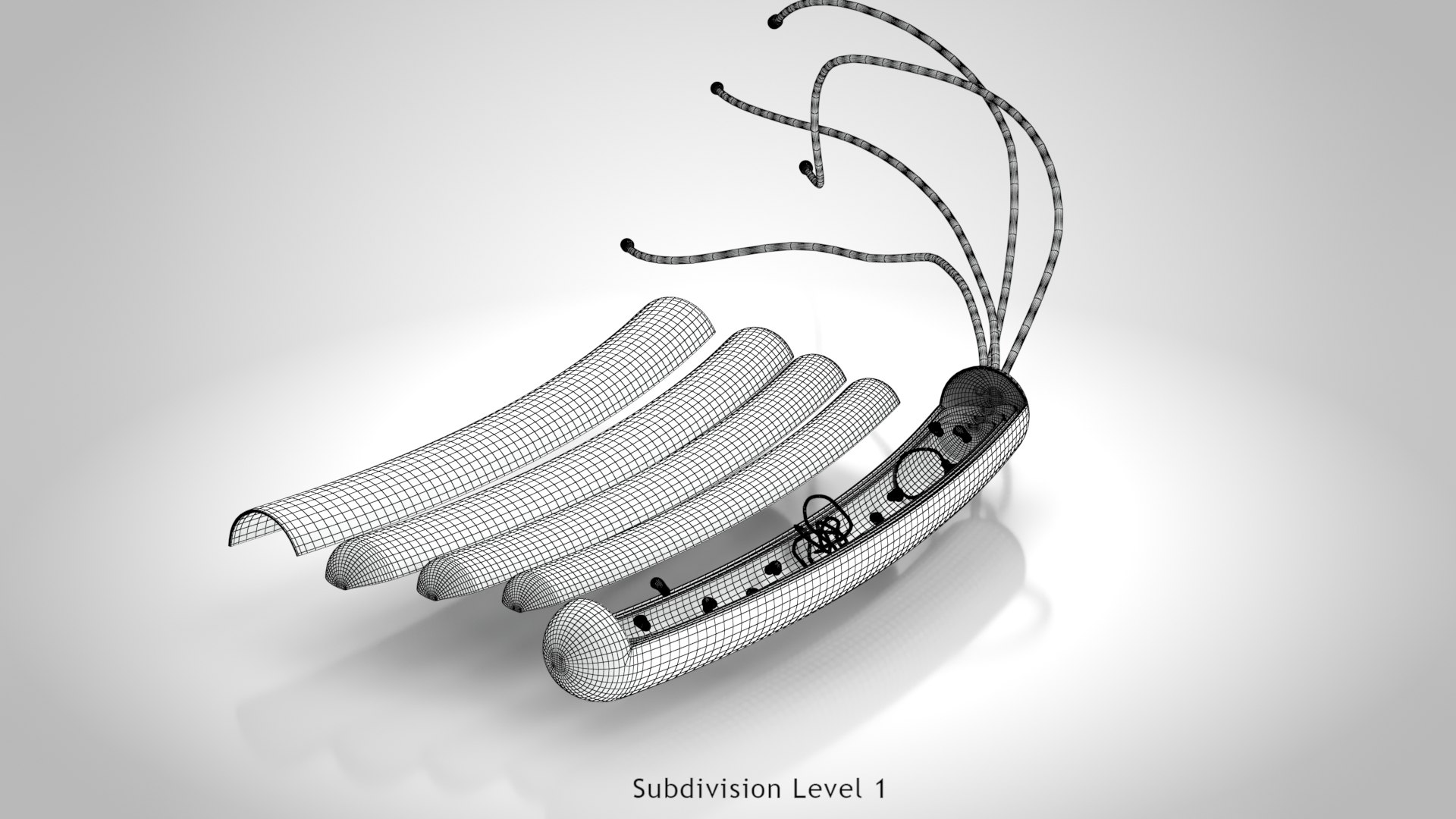 Prokaryotic Structure 3D - TurboSquid 1975619