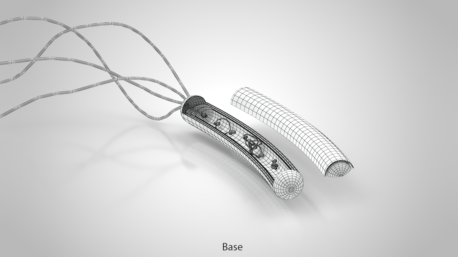Prokaryotic Structure 3D - TurboSquid 1975619