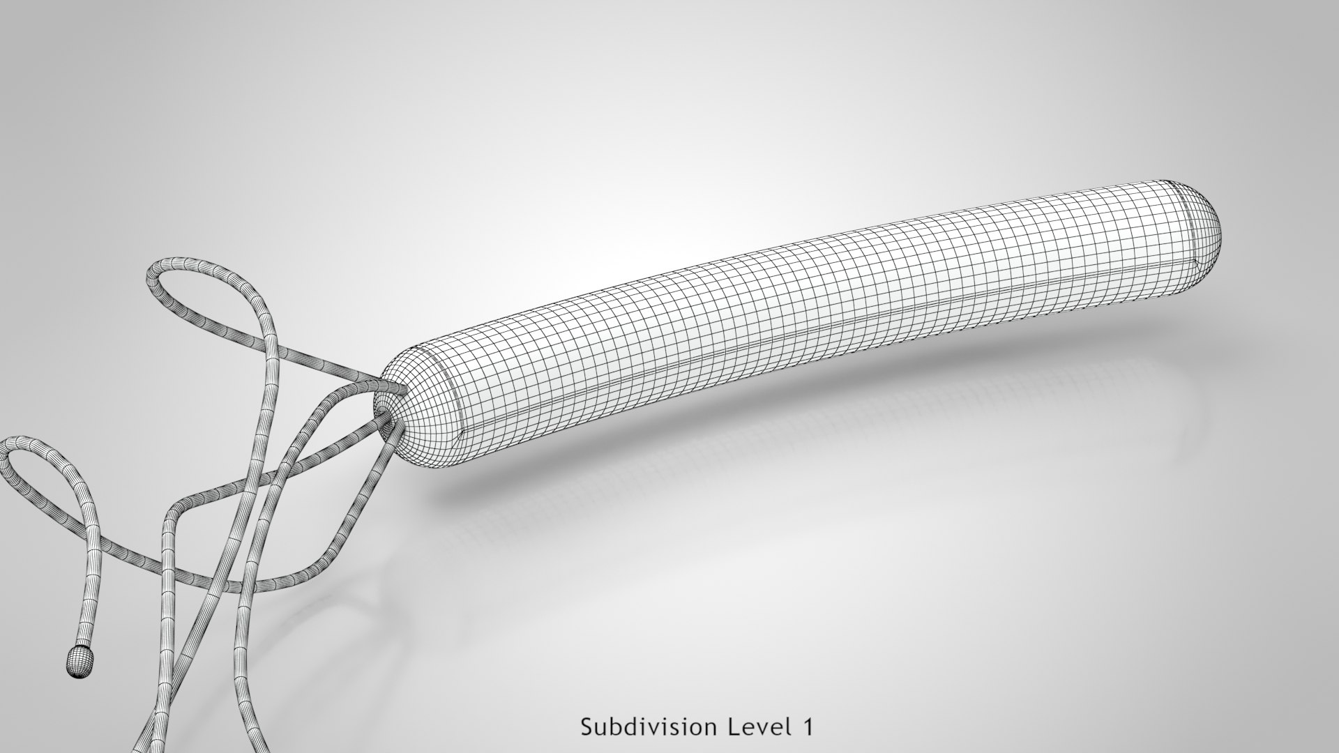 Prokaryotic Structure 3D - TurboSquid 1975619