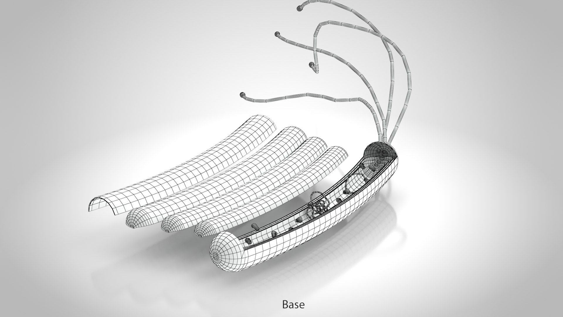 Prokaryotic Structure 3D - TurboSquid 1975619