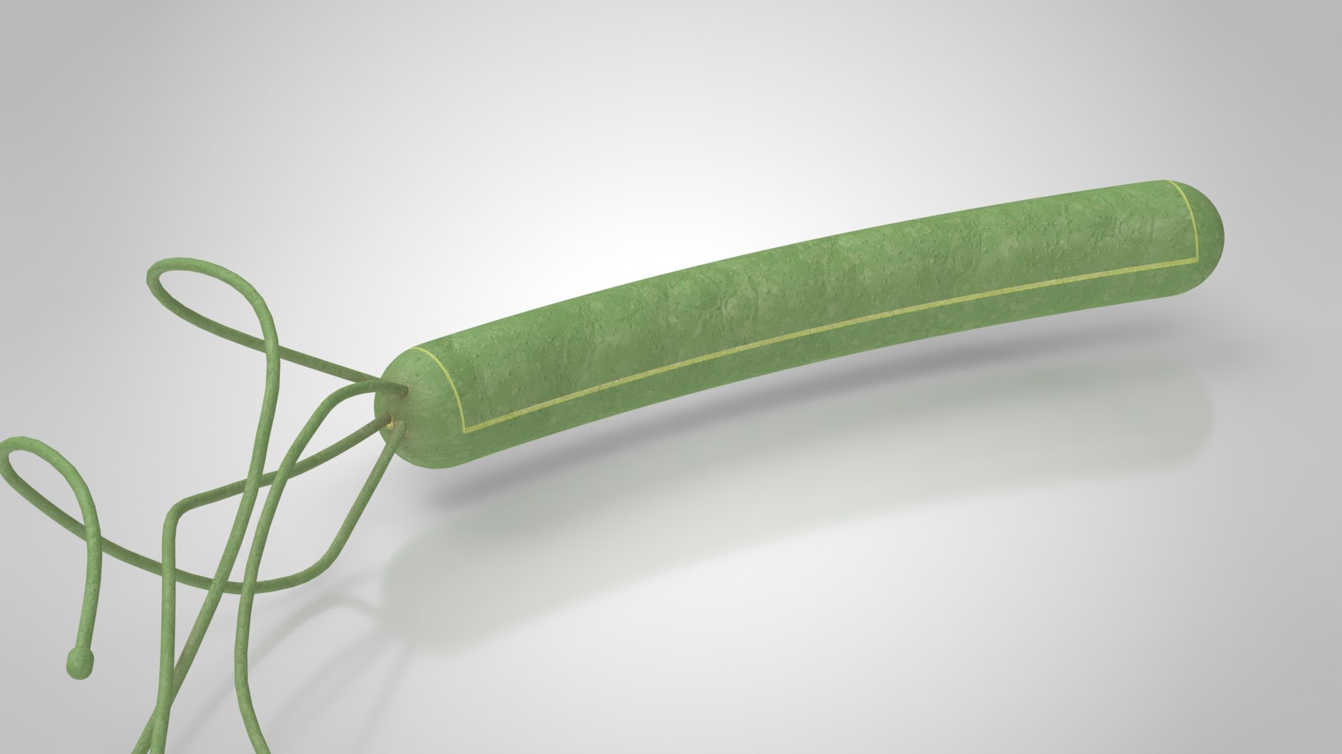 Prokaryotic Structure 3D - TurboSquid 1975619