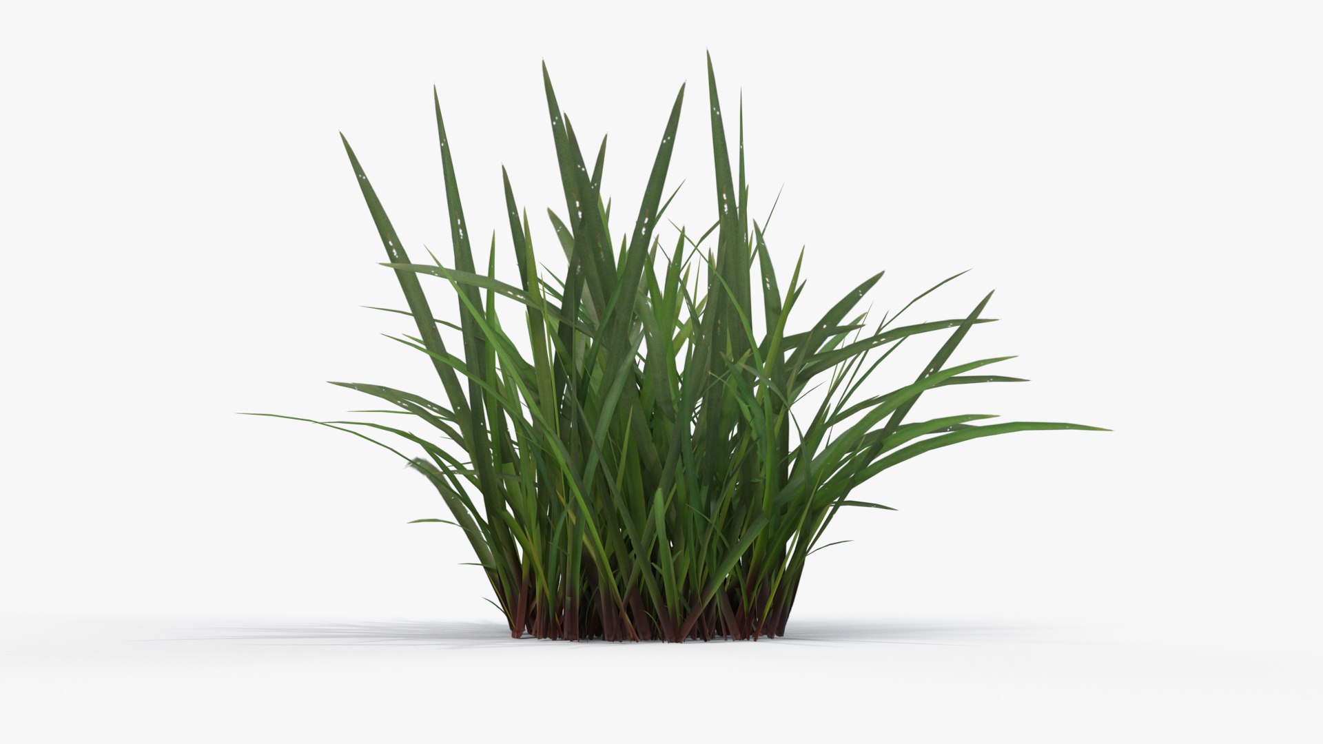 3D Model Grass Cluster Collection 004 - 3 Cluster Types - TurboSquid ...
