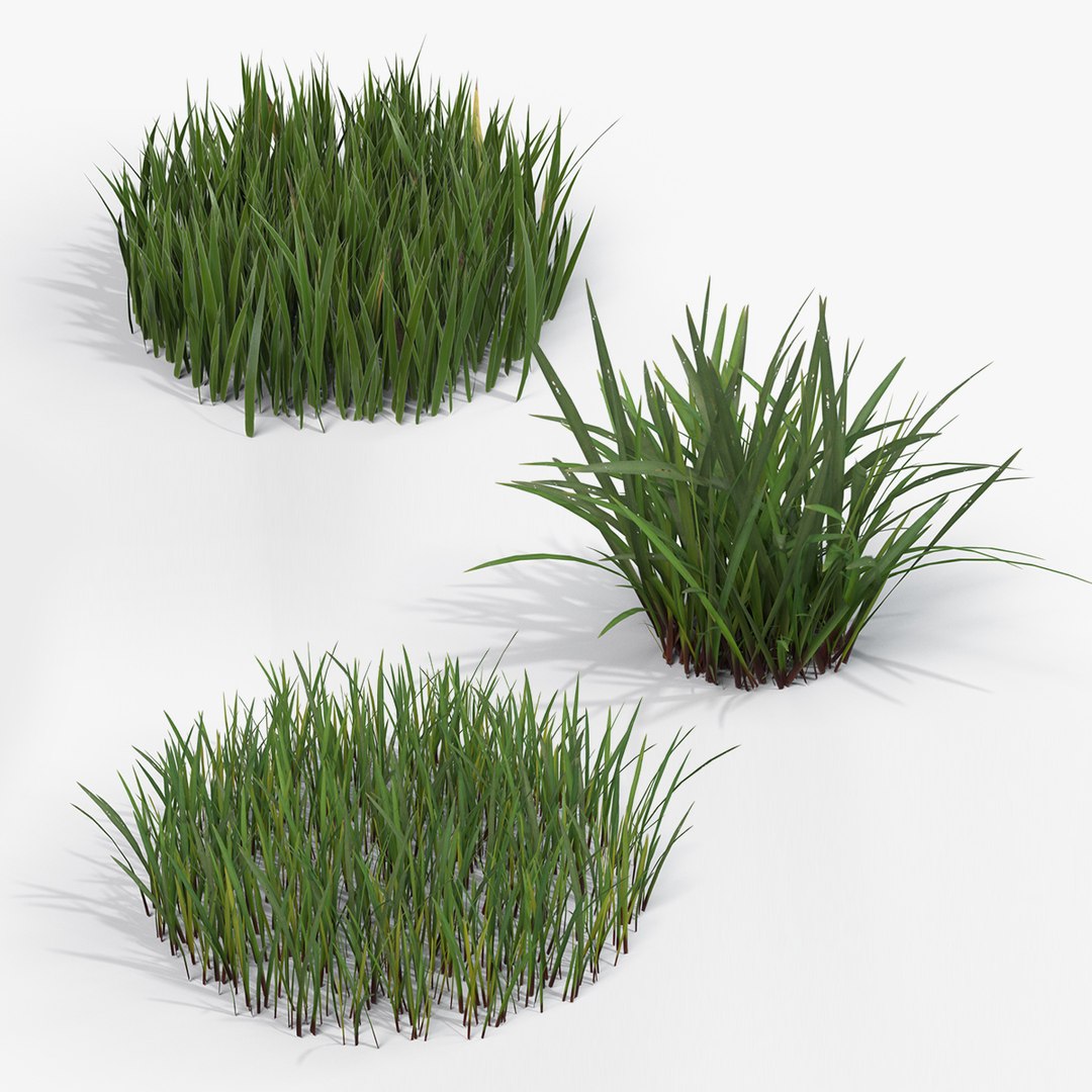 3D Model Grass Cluster Collection 004 - 3 Cluster Types - TurboSquid ...