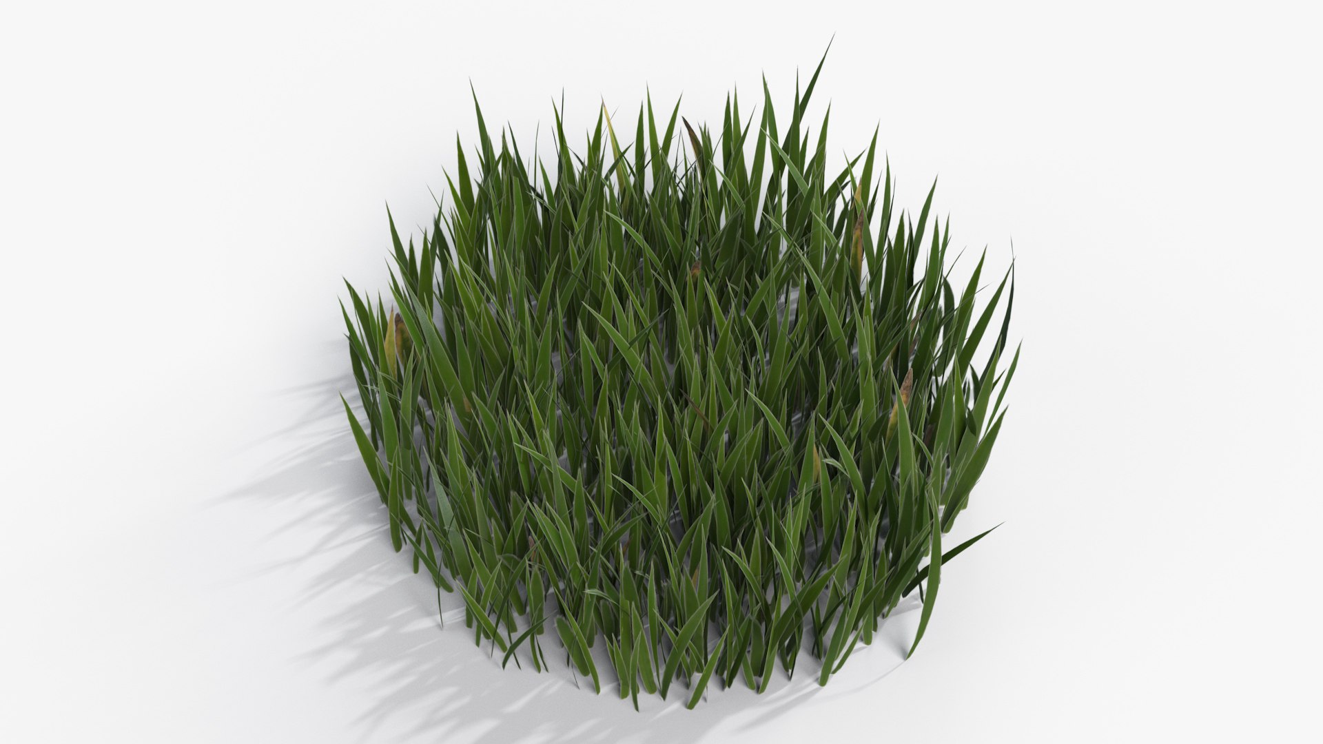 3D Model Grass Cluster Collection 004 - 3 Cluster Types - TurboSquid ...