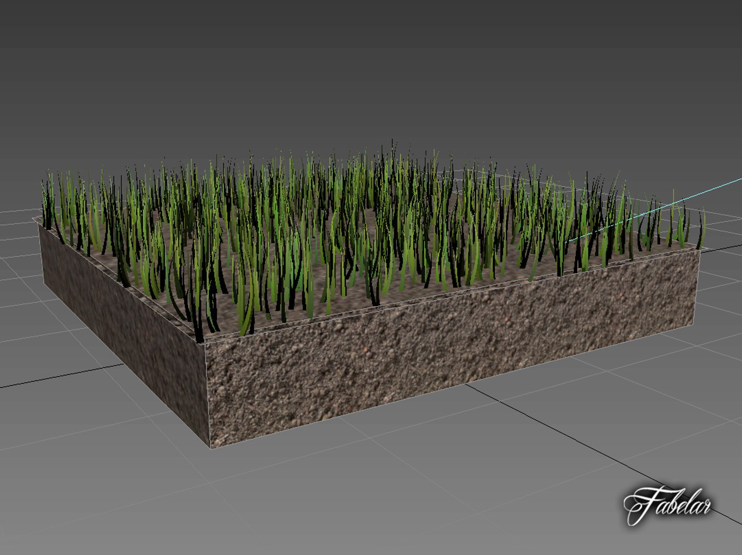 3d grass patch