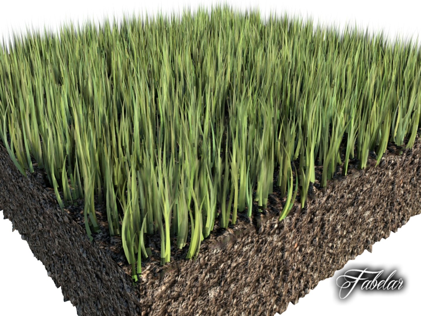 3d grass patch