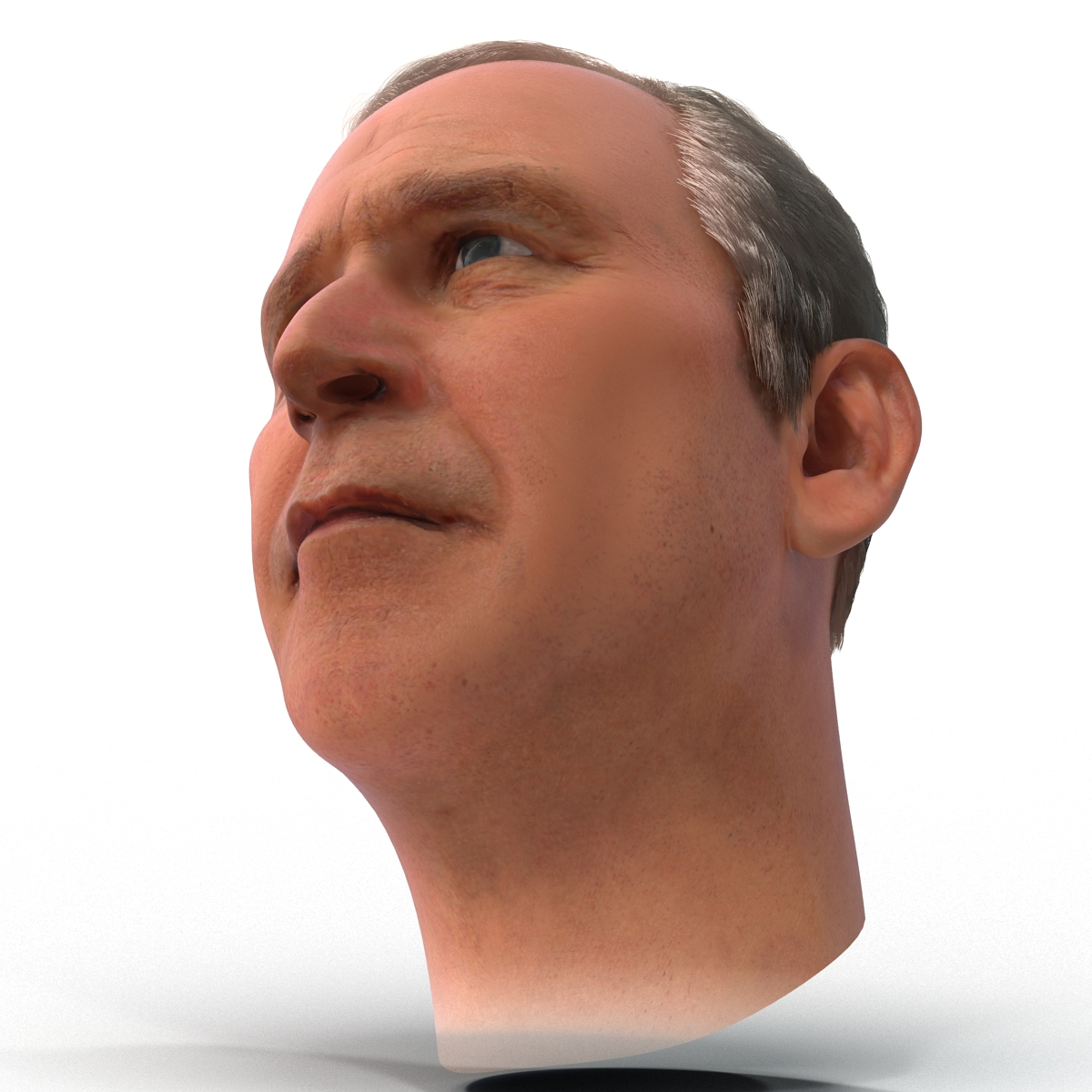 3d model george w bush head