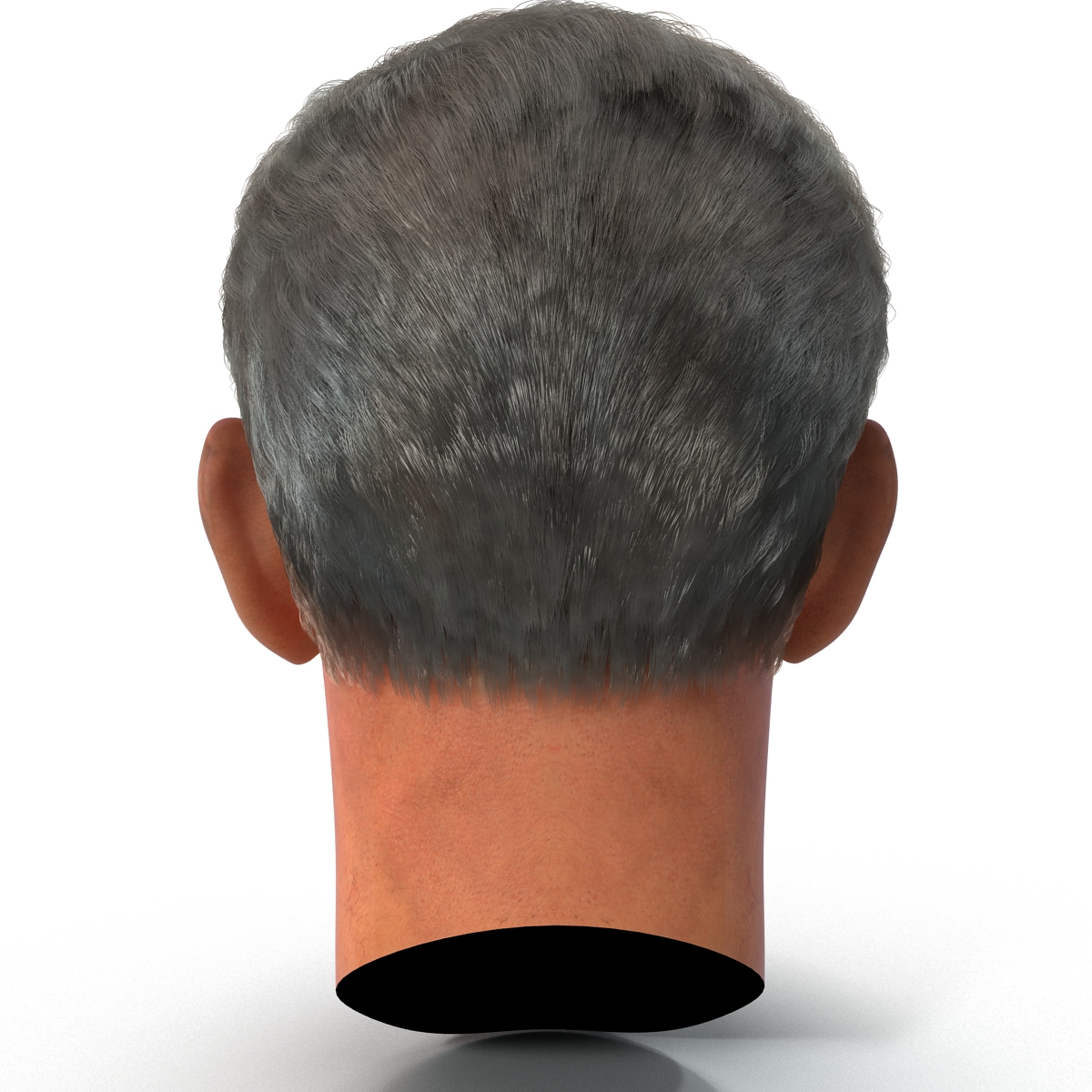3d model george w bush head
