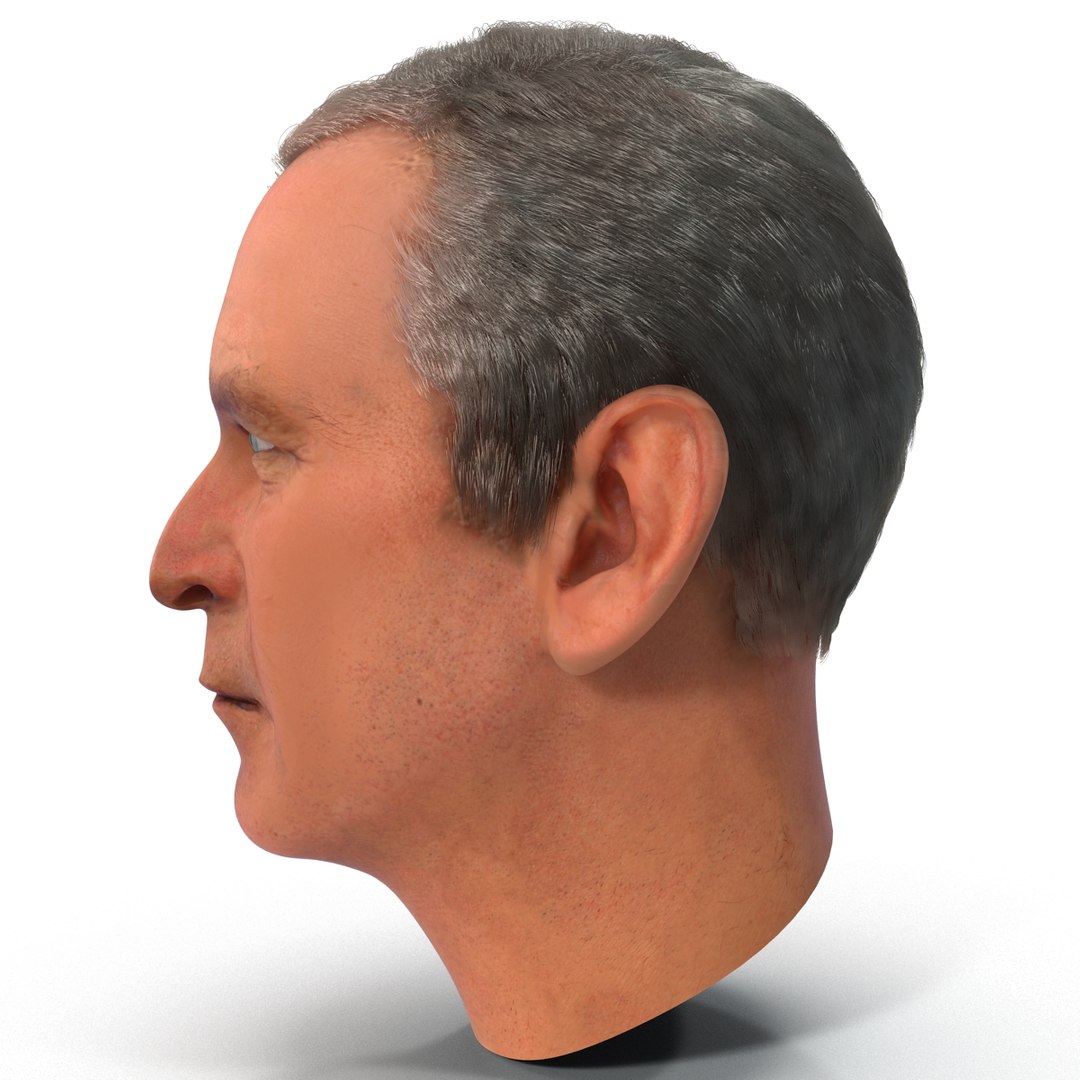 3d Model George W Bush Head